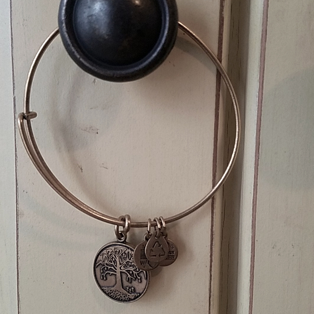 Alex And Ani Tree Of Life Bracelet - Gem